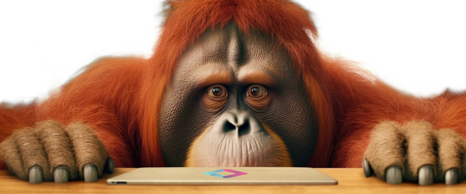 Intellecta Australia | Digital Marketing, Web Development & SEO Experts